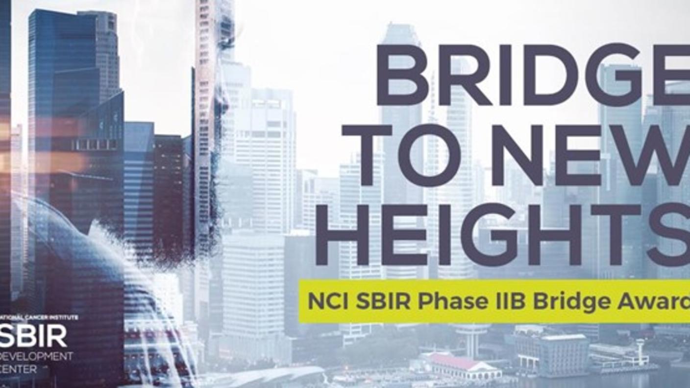 SBIR - NCI